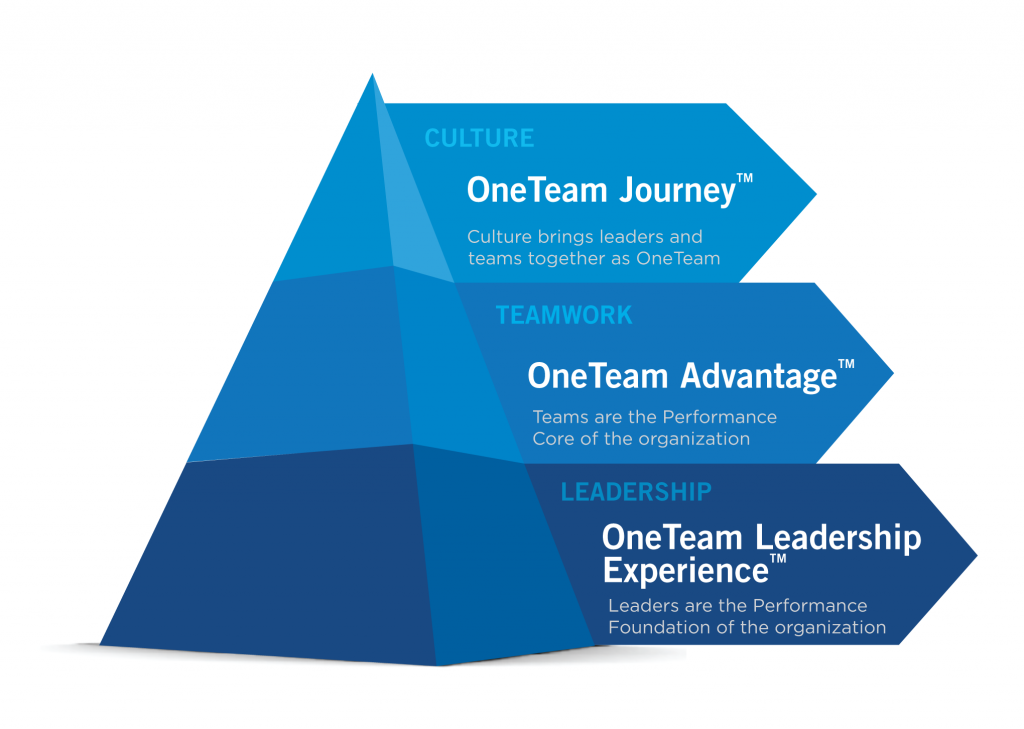 What We Do - OneTeam Leadership